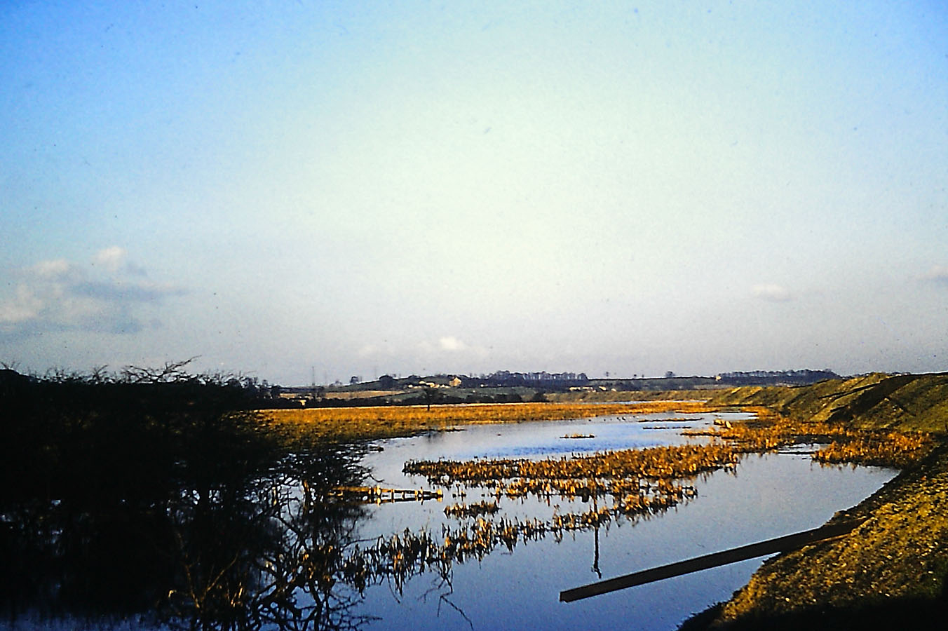 Fairburn Ings Nature Reserve – Fairburn Ings Bird Group